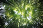 Kabbalah Tree of Life Pt 1 - The Sephirot | Walking Kabbalah